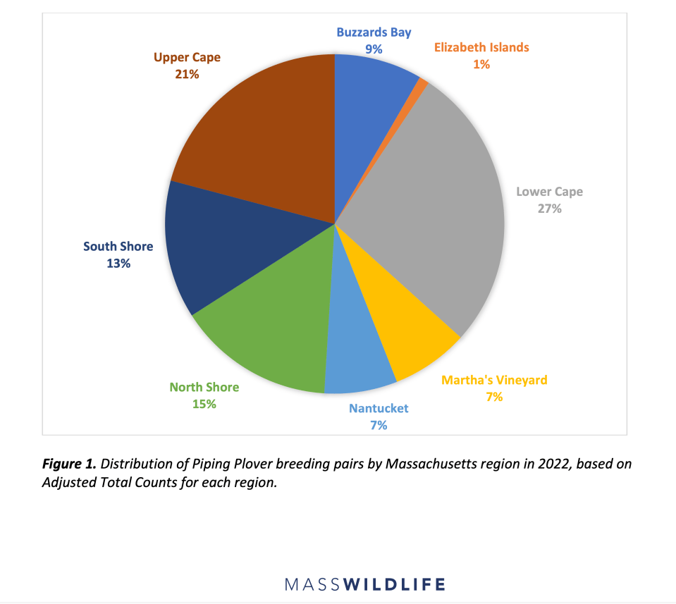 Summary of the 2022 Massachusetts Piping Plover Census. | The Piping ...