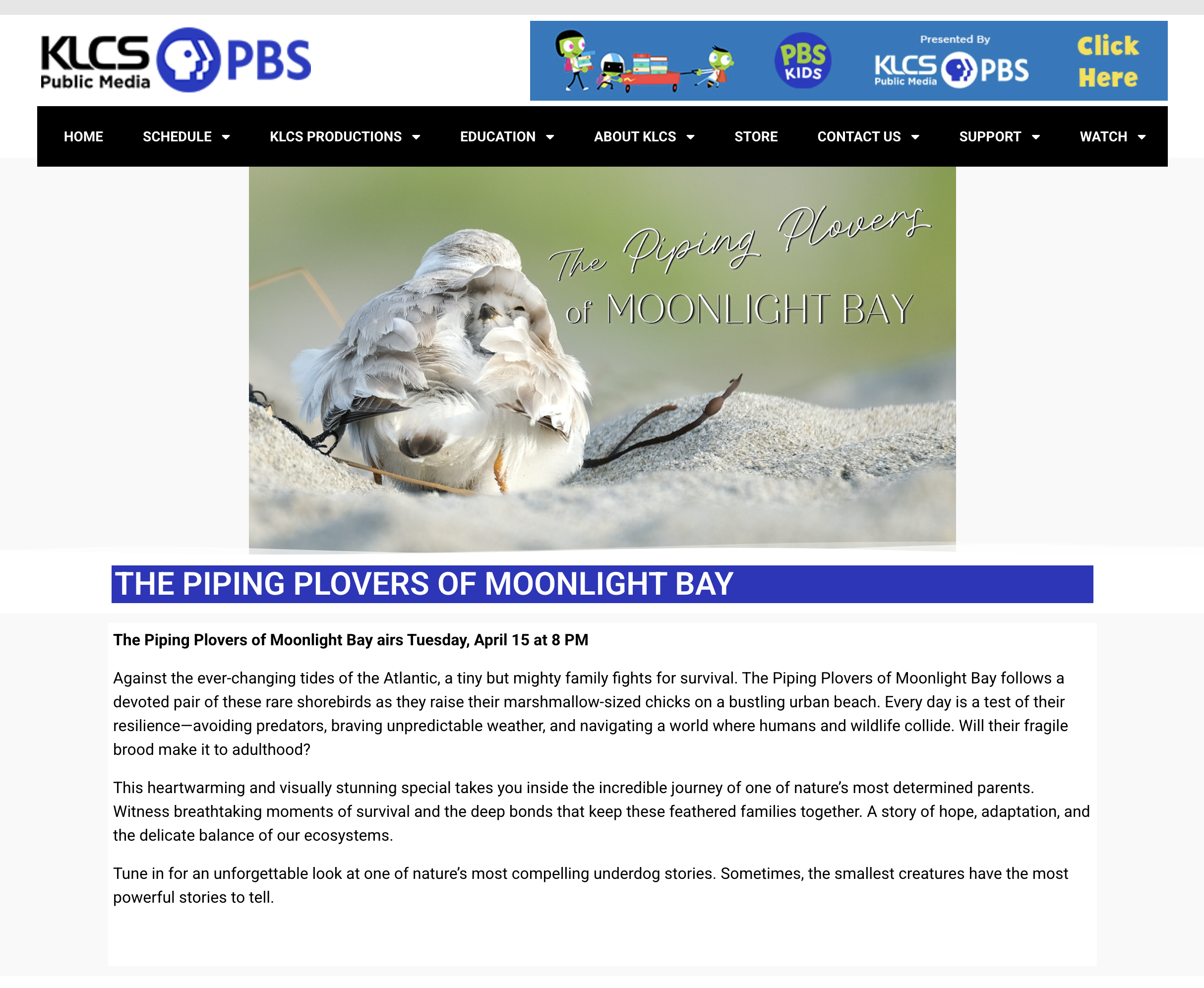 The Piping Plover Project | Dedicated to Piping Plover Conservation