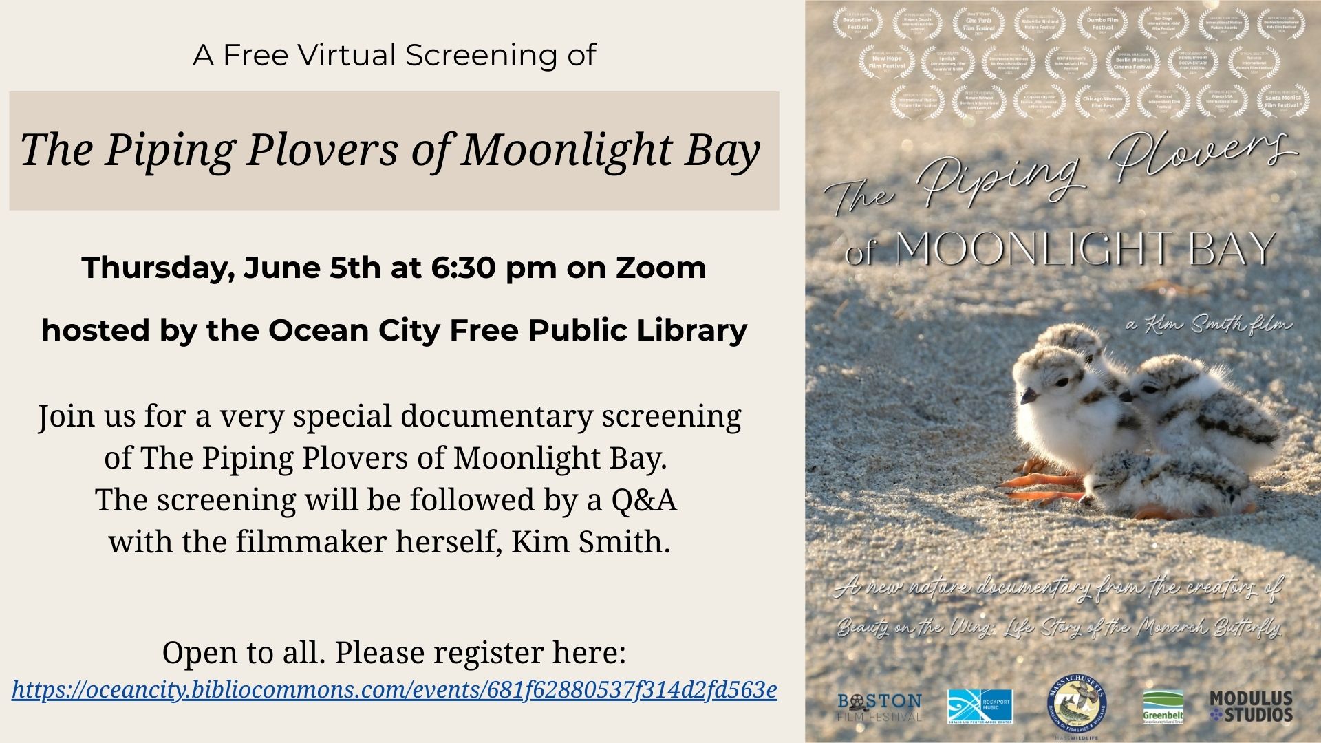 The Piping Plover Project | Dedicated to Piping Plover Conservation